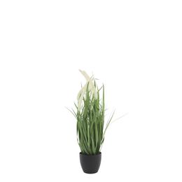 Chic Antique Fleur Schilfpflanze mit Fuchsschw&auml;nzen 68 cm