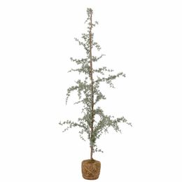 Bloomingville Dekobaum Vita aus Kunststoff &Oslash;50 x H150 cm skandinavische Deko Online Shop