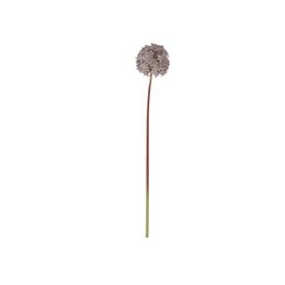 Chic Antique Fleur Allium H58/D11 cm, heide skandinavische Deko Online Shop