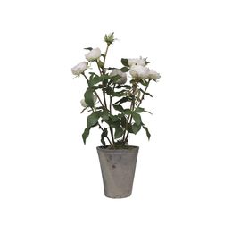 Chic Antique Fleur Rosenstrauch im Keramiktopf H44 cm, rosa skandinavische Deko Online Shop