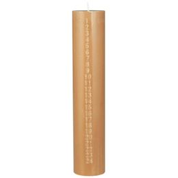 IB Laursen Weihnachtskerze 1-24 mit gepr&auml;gten Zahlen H&ouml;he 30, &Oslash; 6 cm, honey