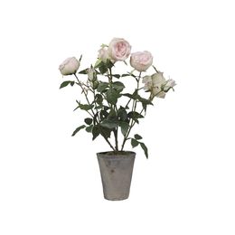 Chic Antique Fleur Rosenstrauch im Keramiktopf H52 cm, rosa skandinavische Deko Online Shop