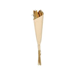 Chic Antique Fleur getrocknete Seterea Blumen L75 cm, karamel skandinavische Deko Online Shop