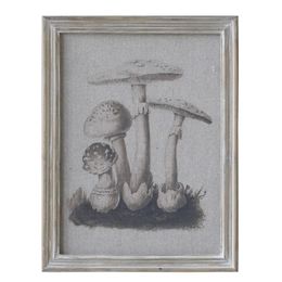 Chic Antique Bild mit Pilzmotiv und Naturrahmen Motiv 2