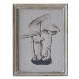 Chic Antique Bild mit Pilzmotiv und Naturrahmen Motiv 1