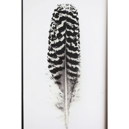 Chic Antique Bild mit Federnmotiv und schwarzem Rahmen Motiv 3