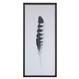 Chic Antique Bild mit Federnmotiv und schwarzem Rahmen Motiv 1