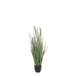 Chic Antique Fleur Schilfpflanze mit Fuchsschw&auml;nzen 90 cm