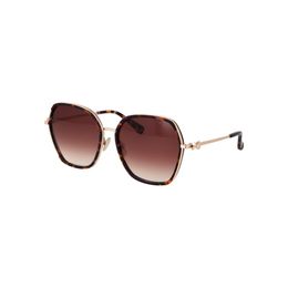 Ted Baker TB1776 Kira 703 Glanz Schildpatt lila braun Farbverlauf Sonnenbrille
