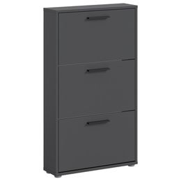 CARRYHOME Schuhkipper, Anthrazit, Kunststoff, 59x103x17 cm, Typenauswahl, stehend, Garderobe, Schuhaufbewahrung, Schuhkipper