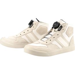 Icon Dog Days, Schuhe