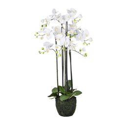 Kunstpflanze, Gr&uuml;n, Wei&szlig;, Kunststoff, 93 cm, Real-Touch-Oberfl&auml;che, Dekoration, Blumen & Zubeh&ouml;r, Kunstpflanzen