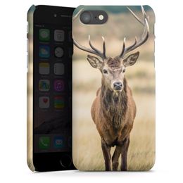 DeinDesign iPhone SE (2020) Handy Premium Case Smartphone Handyh&uuml;lle Schutzh&uuml;lle matt Forrest Meadow Deer Premium Case