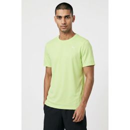 Puma Herren Trainingsshirt "M TAD ESSENTIAL POLY TEXTURE TEE", gr&uuml;n, Gr. S, Web, Obermaterial: 100% Polyester, Shirts, Trainings-T-Shirt, mit