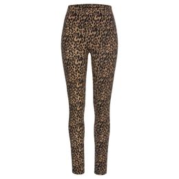 Buffalo Leggings female size XXL/XXXL Brown / Black