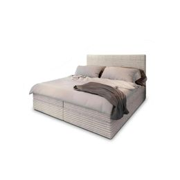 MASSENO Boxbett mit Bettkasten Pisa &brvbar; creme &brvbar; Ma&szlig;e (cm): B: 160 H: 98