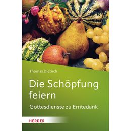 Die Sch&ouml;pfung feiern