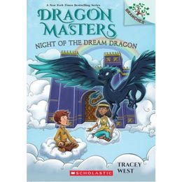 Drachenmeister 28: Die Nacht des Traumdrachen
