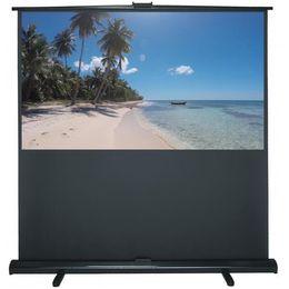 WS GR Bodenleinwand Xpress 16:10, 198x124 cm, mattwei&szlig; BE/BL