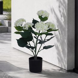 K&uuml;nstliche Hortensie MCW-Q86, Dekopflanze Kunsthortensie Kunstpflanze, Outdoor Polyethylen 64x40x40cm ~ wei&szlig;