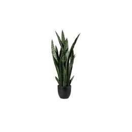 M&ouml;bel Kraft Sansevieria getopft gr&uuml;n Kunststoff Ma&szlig;e (cm): H: 39 &raquo; M&ouml;bel Kraft