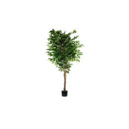M&ouml;bel Kraft Ficus Benjamini getopft gr&uuml;n Kunststoff Ma&szlig;e (cm): H: 150 &raquo; M&ouml;bel Kraft