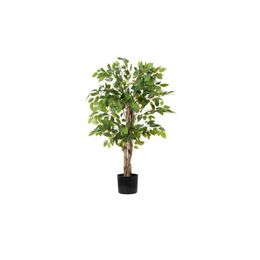 M&ouml;bel Kraft Ficus Benjamina getopft gr&uuml;n Kunststoff Ma&szlig;e (cm): H: 85 &raquo; M&ouml;bel Kraft