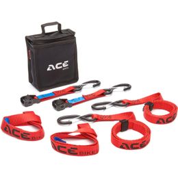 ACE Bikes Cam Buckle Pro, Zurrgurte