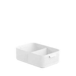 Rotho Box LISORA L