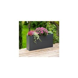 WESTMANN Metall Pflanzk&uuml;bel Talus L Anthrazit 25x100x52cm