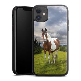 DeinDesign iPhone 11 Handy Gallery Case Handyh&uuml;lle 9H Geh&auml;rtetes Glas R&uuml;ckseite H&uuml;lle Horse Nature Meadow Gallery Case