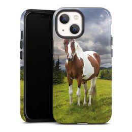 DeinDesign iPhone 13 Mini Handy Panzer Handyh&uuml;lle robuste Outdoor H&uuml;lle Schutzh&uuml;lle gl&auml;nzend Horse Nature Meadow Tough Case