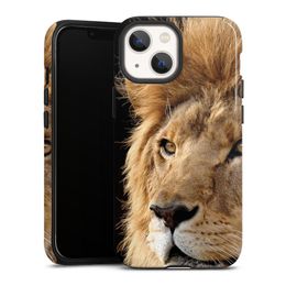 DeinDesign iPhone 13 Mini Handy Panzer Handyh&uuml;lle robuste Outdoor H&uuml;lle Schutzh&uuml;lle gl&auml;nzend Jungle Lion Photography Tough Case