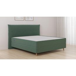 BRUNO Boxspringbett Premium 240x200cm in Gr&uuml;n | Matratzen-H&auml;rtegrad: Links H2 / Rechts H2 | mehrfach ausgezeichnet in Design & Qualit&auml;t