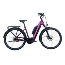 Hercules Tessano HD I-F5 Panasonic GX Ultimate Pro 1040Wh 180kg Freilauf - 57 cm - E-Bike Trekking - ultimacy bordeaux-matt
