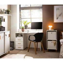 Tchibo - Regal &raquo;Torge&laquo; mit 2 Faltboxen - 38,2x38,2x84,8cm - braun -