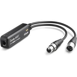 Audinate Dante AVIO AES3 IO Adapter 2x2 Kanal