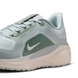 Nike Pegasus 41 GTX Herren