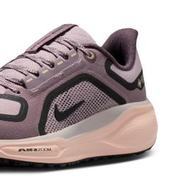 Nike Pegasus 41 GTX Damen