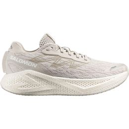 Salomon Aero Glide 4 Schuhe Herren grau 42.6