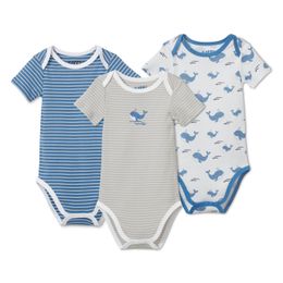 Tchibo - 3 Kurzarmbodys - Baby - Gr. 74/80 - wei&szlig;/gestreift