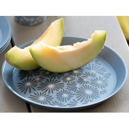 Koziol Blomster tiefer Teller 20,5 cm stapelbar / robust / sp&uuml;lmaschinengeeignet nature flower blue daisy - Teller