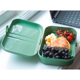Koziol Pascal L Lunchbox mit Trennsteg nature leaf green - Lebensmittelbeh&auml;lter / Vorratsdosen