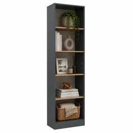 Vcm B&uuml;cherregal f&uuml;r Aktenordner, B&uuml;roregal mit 5 F&auml;chern, H. 183 x B. 52 x T. 30 cm, Standregal f&uuml;r Homeoffice und B&uuml;ro - Dilos