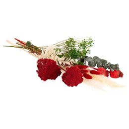 buttinette Trockenblumen-Sortiment, rot, gr&uuml;n