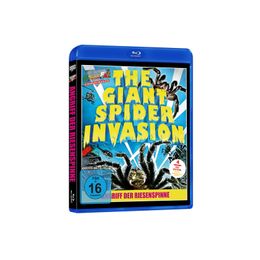 Angriff der Riesenspinne - Digibook im Schuber mit SchleFaZ-Fassung - Limitiert auf 1000 St&uuml;ck (+DVD+Soundtrack-CD)