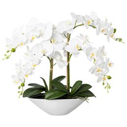 Kunstpflanze, Gr&uuml;n, Wei&szlig;, Kunststoff, 53 cm, inkl. Topf, Real-Touch-Oberfl&auml;che, Dekoration, Blumen & Zubeh&ouml;r, Kunstpflanzen