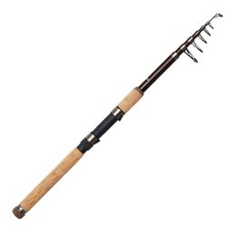 DAM Backbone Ii Tele 80 9'/2.70M M 30-80G 7Sec