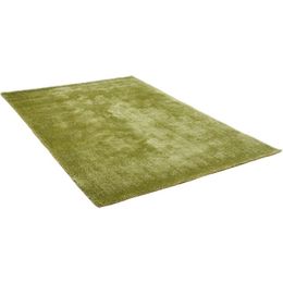 Gino Falcone Hochflor-Teppich &raquo;Alessandro&laquo; rechteckig 25 mm H&ouml;he besonders weich durch Microfaser, ideal im Wohnzimmer & Schlafzimmer gr&uuml;n Kunstfaser B : 50cm 1 