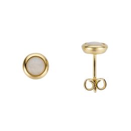 Firetti Ohrstecker Damen Gr&ouml;&szlig;e One Size gold